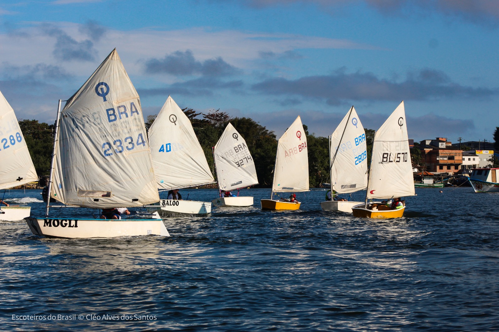 La VI Regata Regional de Scouts Marinos se realizó el pasado fin de ...