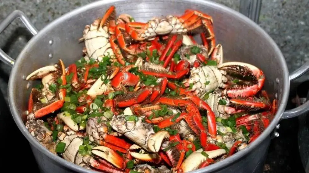 Capture and commercialization of the mangrove crab begins on the coast ...